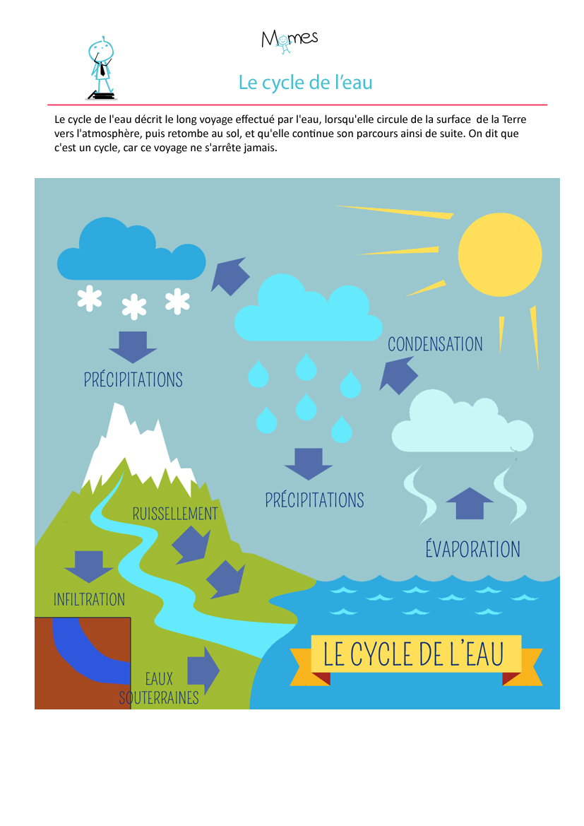 Le Cycle De L eau Sch mas D finitions tapes MOMES