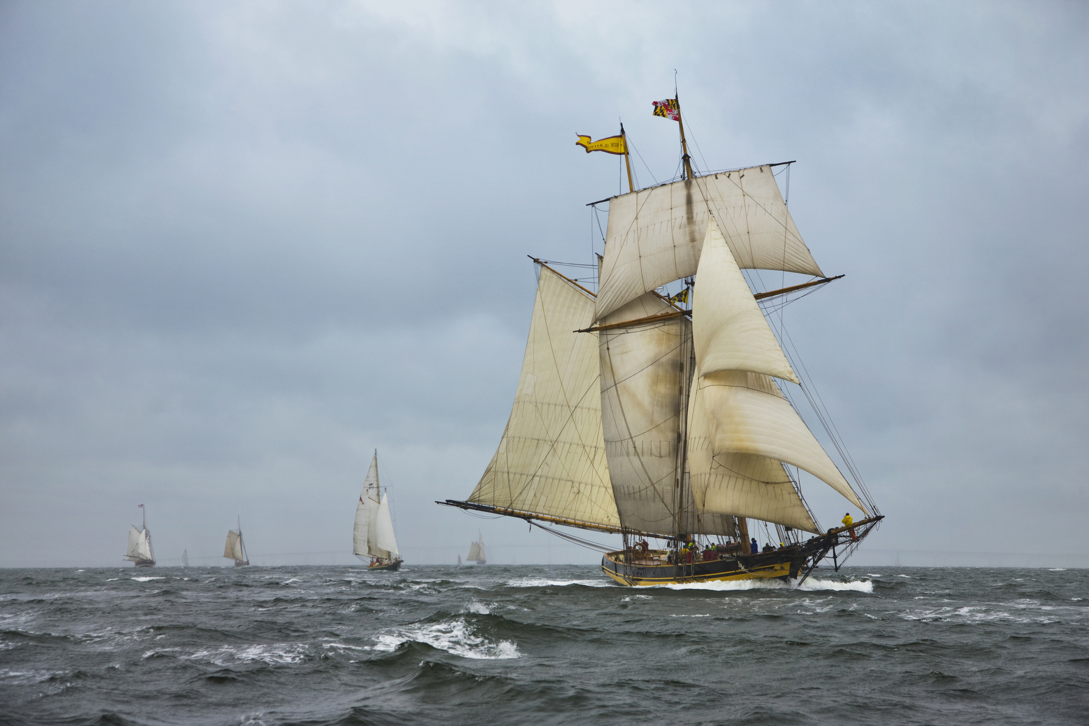 L'histoire des bateaux : découvrez leur évolution à travers le temps ...