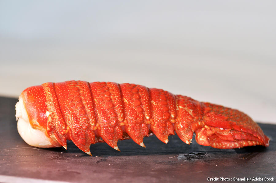 Comment cuisiner la langouste ? Variétés, conseils d'achat et recettes ...